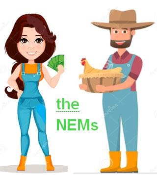 7 Things to Know Before You Make the Switch to Solar · Synergy Power